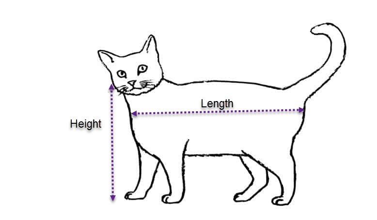 Homemade Litter Box for Large Cats - iKittyCat