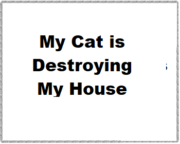 My Cat is Destroying My House - iKittyCat